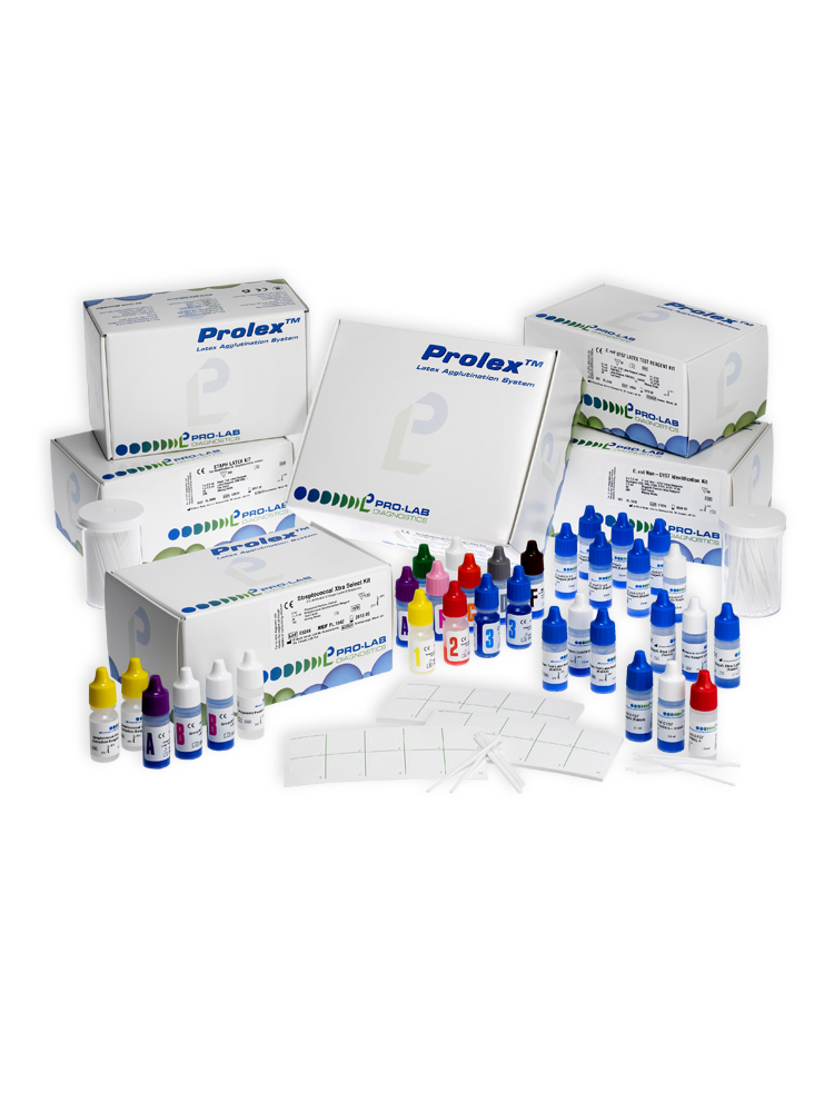 Rabbit Coagulase Plasma | BioVendor LM