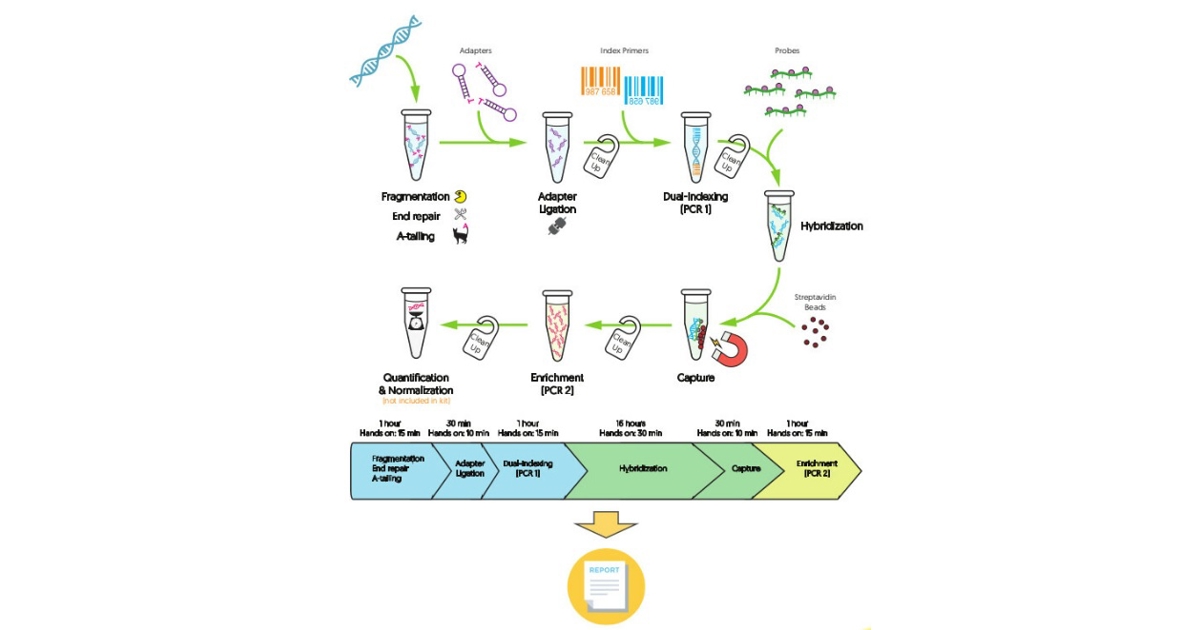 Clinical Exome Sequencing NGS assay (4x4 samples) | BioVendor LM