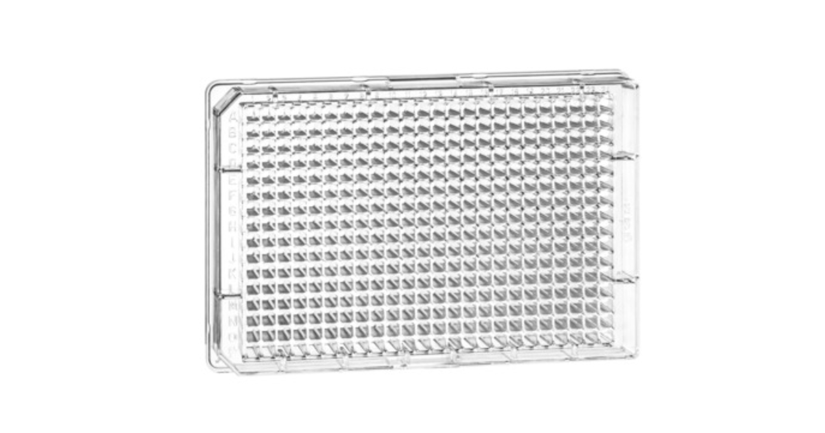 CELL CULTURE MICROPLATE, 384 WELL, PS, F-BOTTOM, CLEAR | BioVendor LM