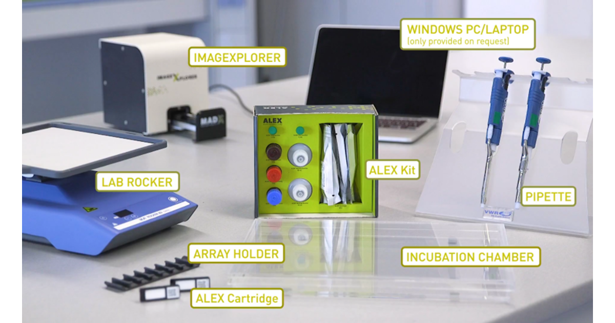 ALEX Starter Kit | BioVendor LM
