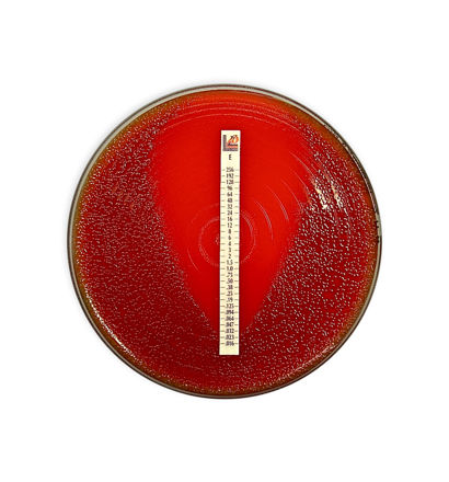 Ceftriaxone (low range) MIC Test Strip (0.002-32) | BioVendor LM