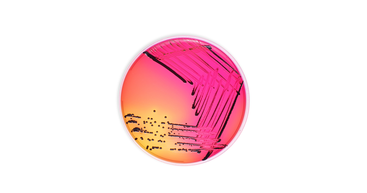 XLD agar (XLD) | BioVendor LM